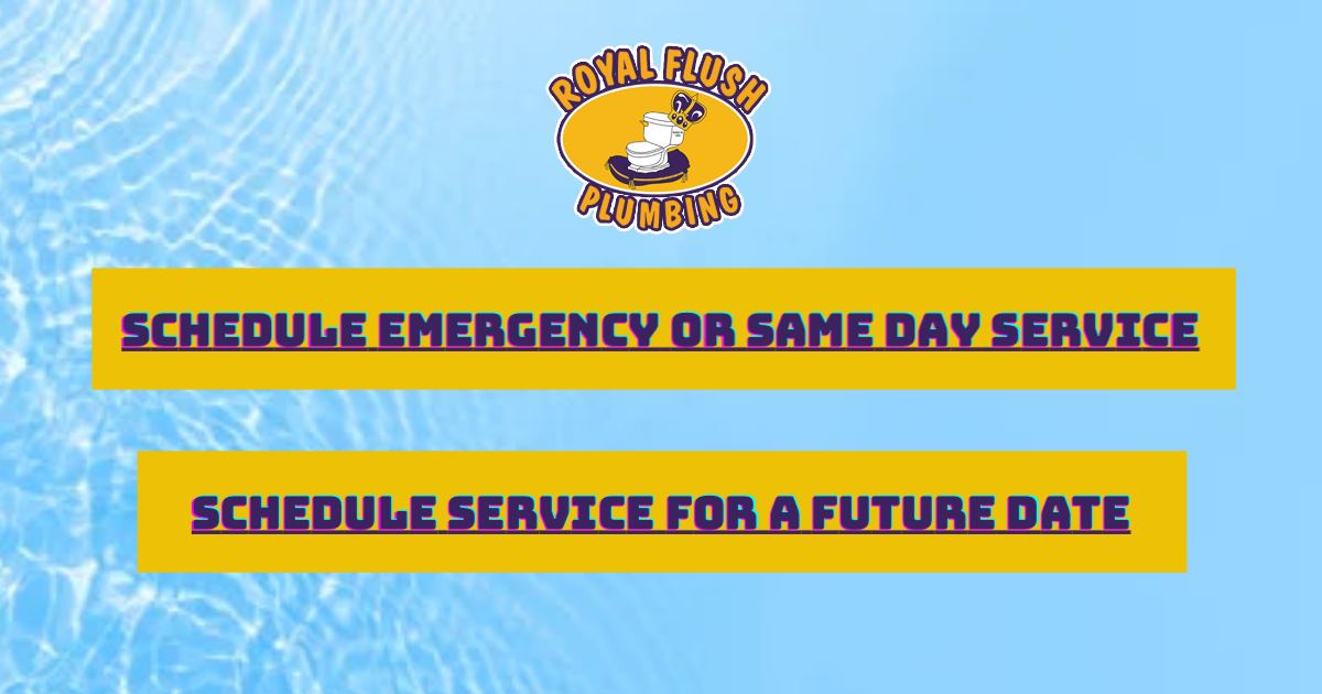 Schedule Service for a future date